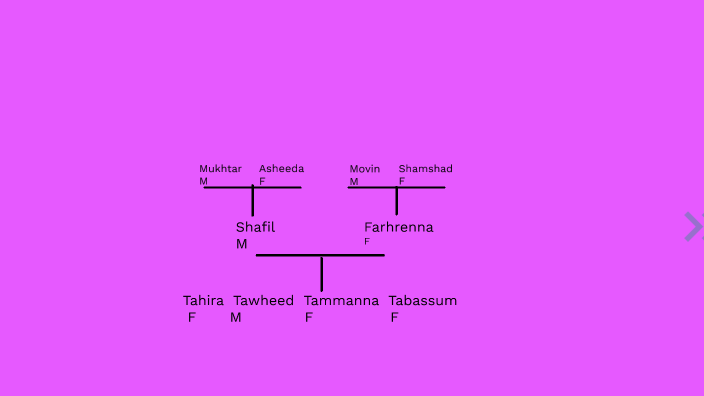MY FAMILY TREE by Tahira Nisha on Prezi