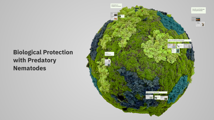 Biological Protection with Predatory Nematodes by João Silva on Prezi