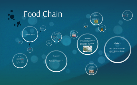 Food Chain by Cade McCallum on Prezi