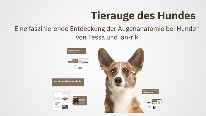 Tierauge des Hundes by Ian-Rik Elz on Prezi