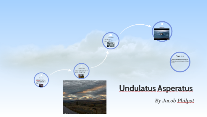Undulatus asperatus by Jacob Philpot on Prezi