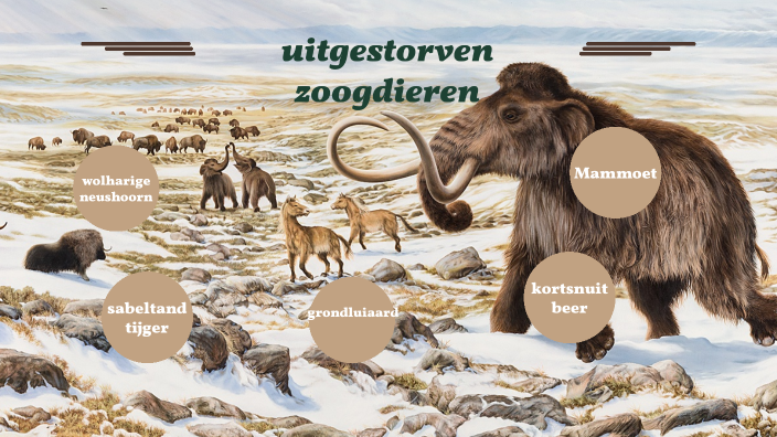 uitgestorven zoogdieren by yanisa vanroy on Prezi