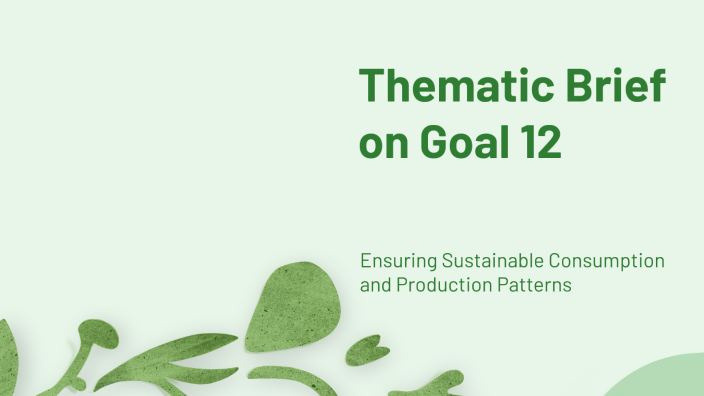 Thematic Brief on Goal 12 by qwerty qwerty on Prezi