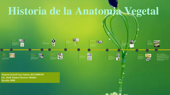 Historia de la anatomía vegetal by Grisell Santos on Prezi
