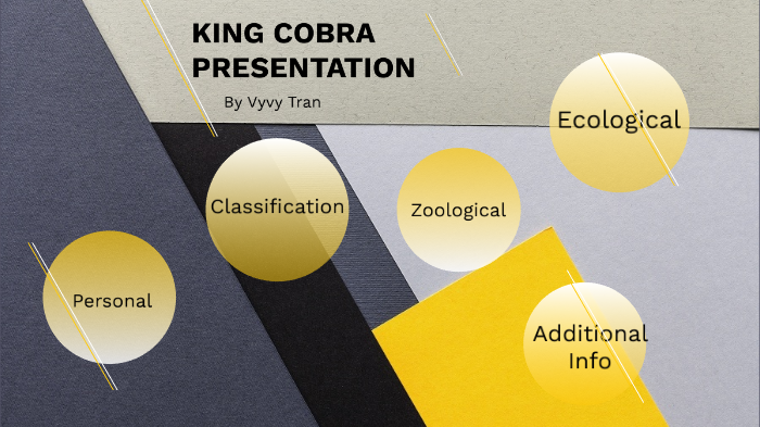 King Cobra Presentation by GraveXV on Prezi