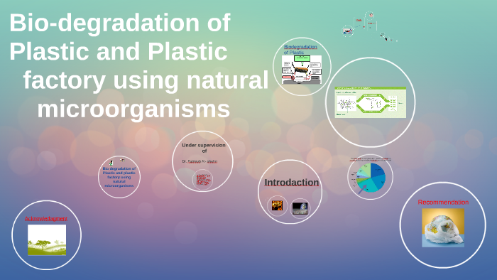 Biodegradation of Plastic and plastic factory using natural by rana ...