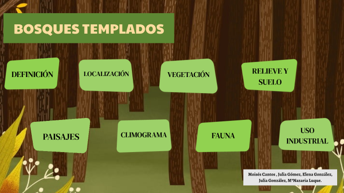 BOSQUE TEMPLADO by Julia González Suárez on Prezi