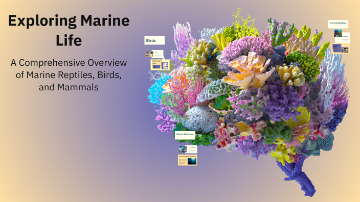 Exploring Marine Life by Waylon Rose on Prezi
