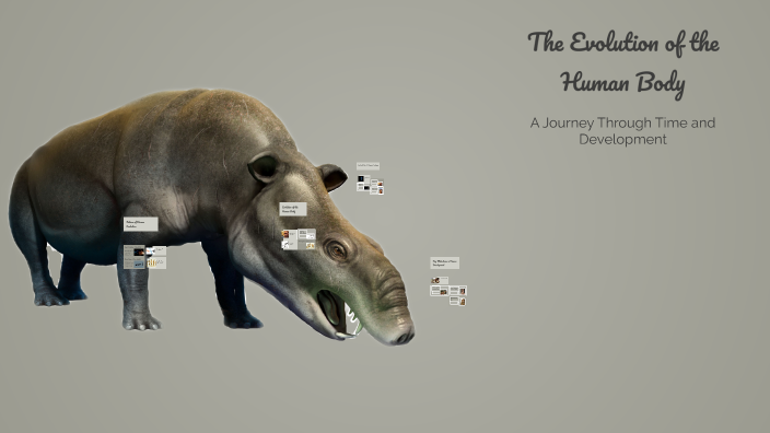 The Evolution of the Human Body by G L on Prezi