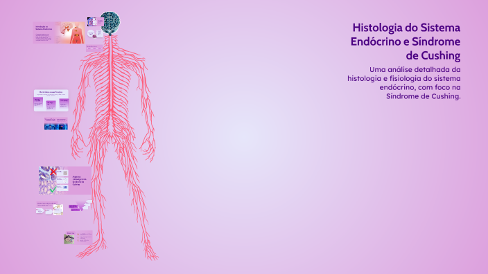 Histologia do Sistema Endócrino e Síndrome de Cushing by Livia Santos ...