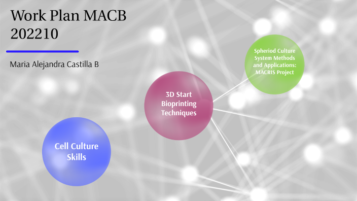 Work Plan MACB 202210 by Sebastian Belalcazar Rios on Prezi
