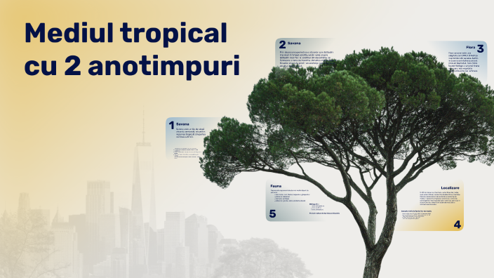 Mediul tropical cu 2 anotimpuri by Aprotosoaie Eusebiu on Prezi