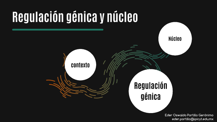 Regulación génica y núcleo by Eder Oswaldo Portillo Gerónimo on Prezi