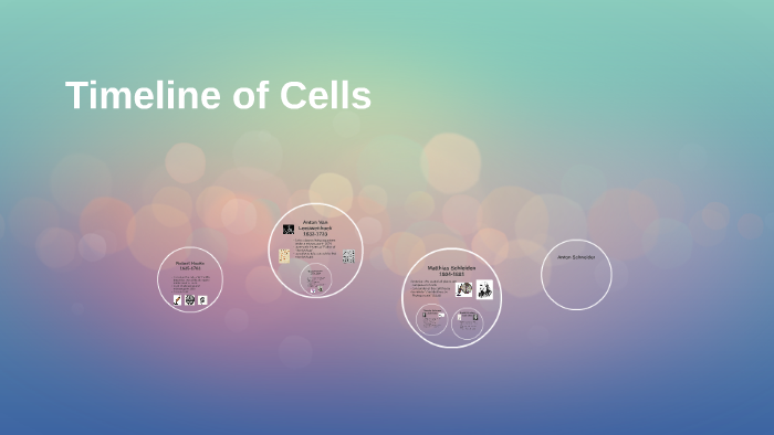 Timeline of Cell Discovery by Kelsi Schneider on Prezi