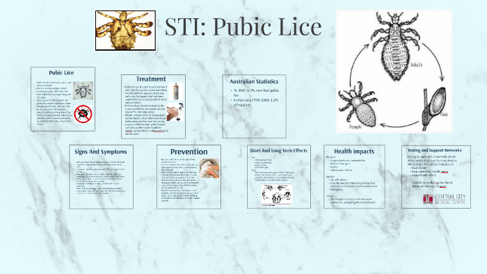 STI: Pubic Lice by Chloe Purchase on Prezi
