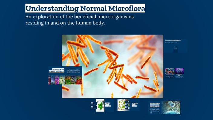 Understanding Normal Microflora by Rozhin Omer on Prezi