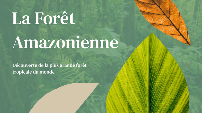 Préservation de la forêt amazonienne by alicia patry on Prezi