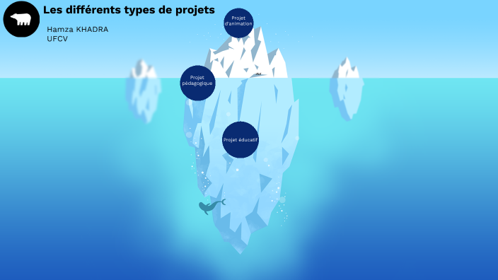 Les différents types de projets by حمزة خضرة on Prezi