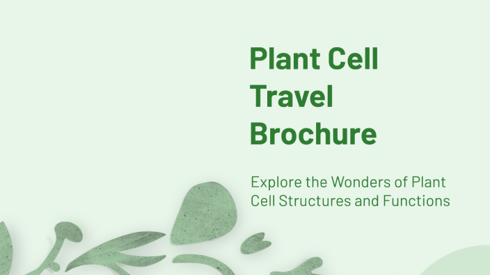 Plant Cell Travel Brochure by juan arispe on Prezi