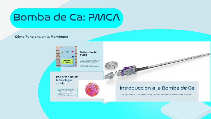 como funciona la bomba de calcio dentrp d by Alisson Romero on Prezi
