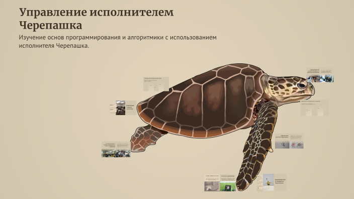 Управление исполнителем Черепашка by Maria Varzar on Prezi