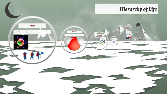 Atom by Nicholas Cashin on Prezi