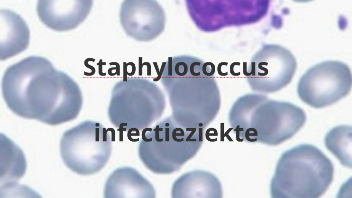 Biologie presentatie staph infectie by Carine S. on Prezi