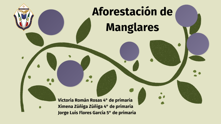 Aforestación de Manglares by Carolina Reyes on Prezi