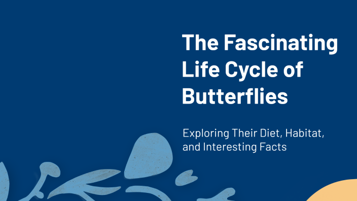 The Fascinating Life Cycle of Butterflies by Evelyn Butz on Prezi