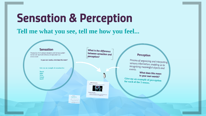 Unit 4 Sensation & Perception by Chad Lehrmann