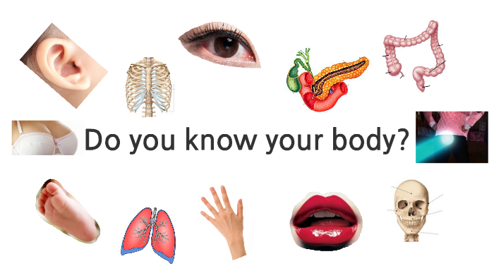 Do you know your body? by 민정 lee on Prezi