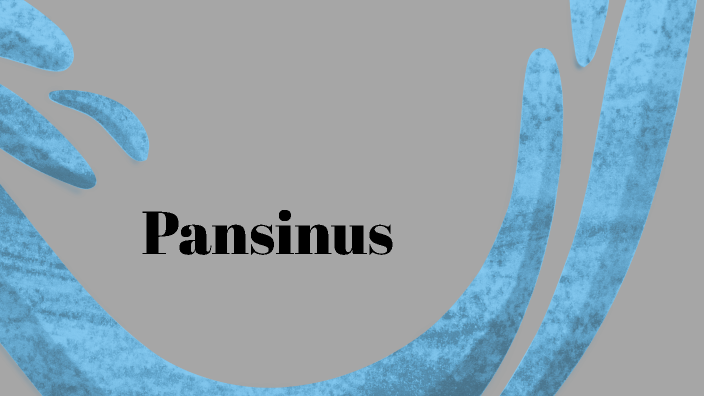 Pansinus by Jessica Barzel on Prezi