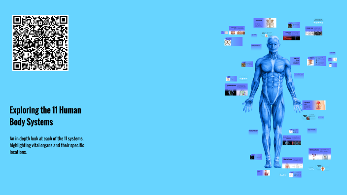 Exploring the 11 Human Body Systems by Dirk Parker on Prezi