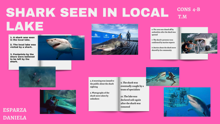SHARK SEE esparza daniela by LUIS JACQUEZ on Prezi