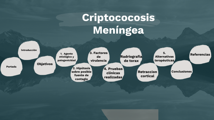 Criptococosis meníngea by Emily Johanna Florez Narvaez on Prezi