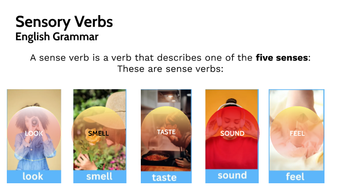 Sensory Verbs by Sofia Garcia on Prezi