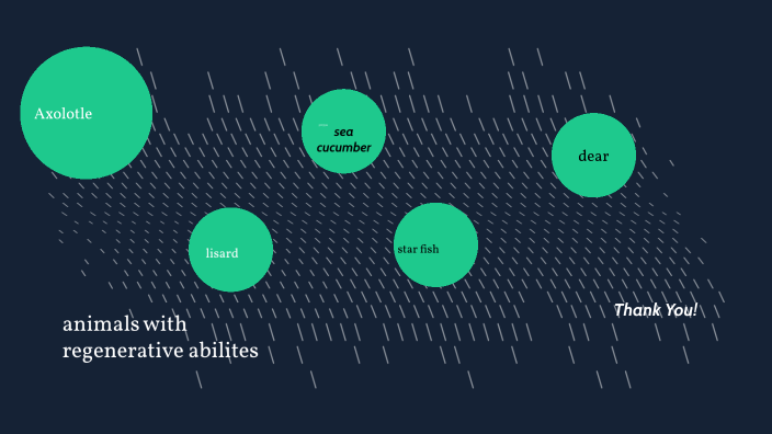 animals with regenerative abilities by Mrithunica A on Prezi