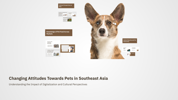 Changing Attitudes Towards Pets in Southeast Asia by Rhein on Prezi