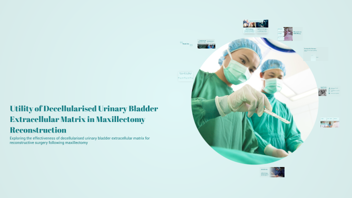 Utility of Decellularised Urinary Bladder Extracellular Matrix in ...