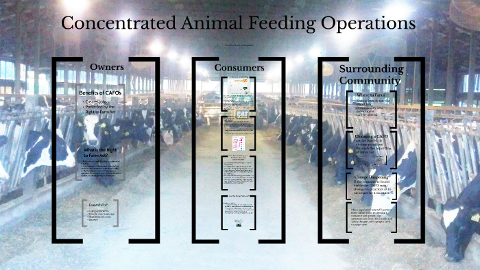 Concentrated Animal Feeding Operations by Matthew Sahli on Prezi