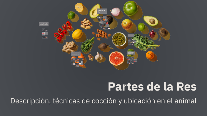 Partes de la Res by Marcos Emanuel Barrientos Castellans on Prezi