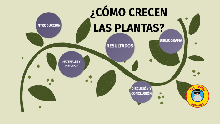 ¿CÓMO CRECEN LAS PLANTAS? by Yasmina Jiménez Mbasogo on Prezi