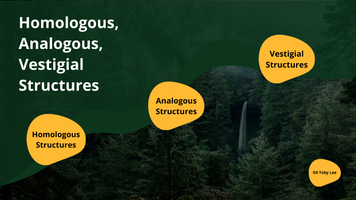 Homologous, Analogous, Vestigial Structures by Taeyoon Lee on Prezi