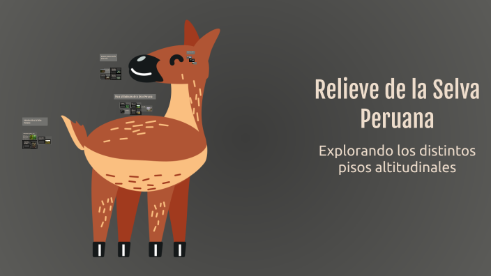 Relieve de la Selva Peruana by Juliana Susano on Prezi