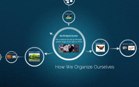 How We Organize Ourselves by Natasha T on Prezi