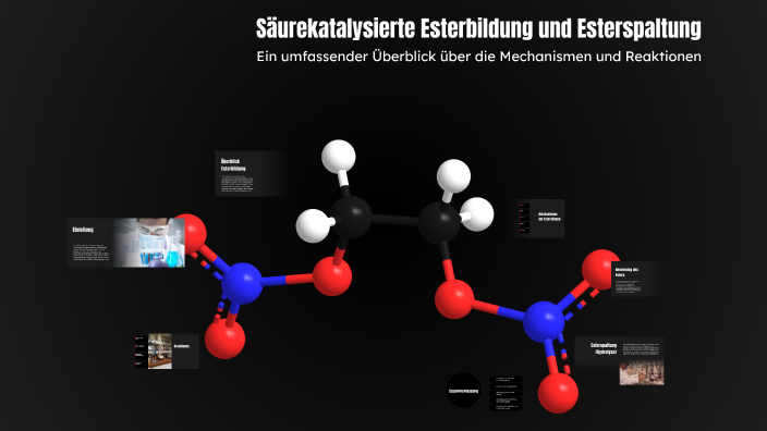 Säurekatalysierte Esterbildung und Esterspaltung by Nora Slimani on Prezi
