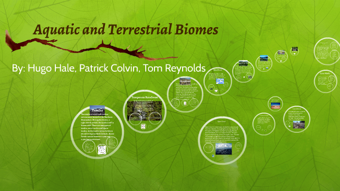 Aquatic and Terrestrial Biomes by Hugo Hale on Prezi