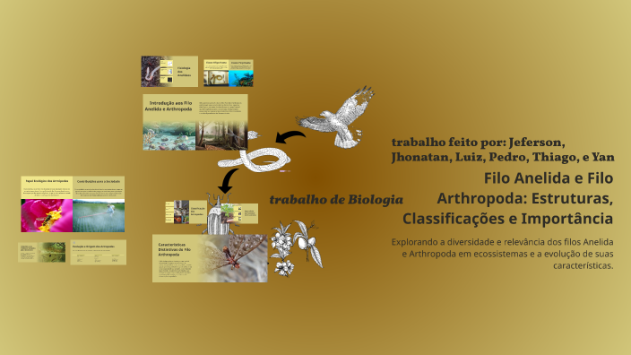 Filo Anelida e Filo Arthropoda: Estruturas, Classificações e ...