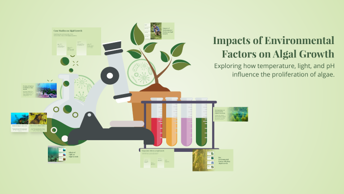 Impacts of Environmental Factors on Algal Growth by Salma LATIQUE on Prezi