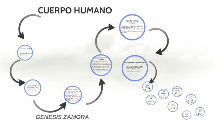 CUERPO HUMANO by genesis zamora on Prezi